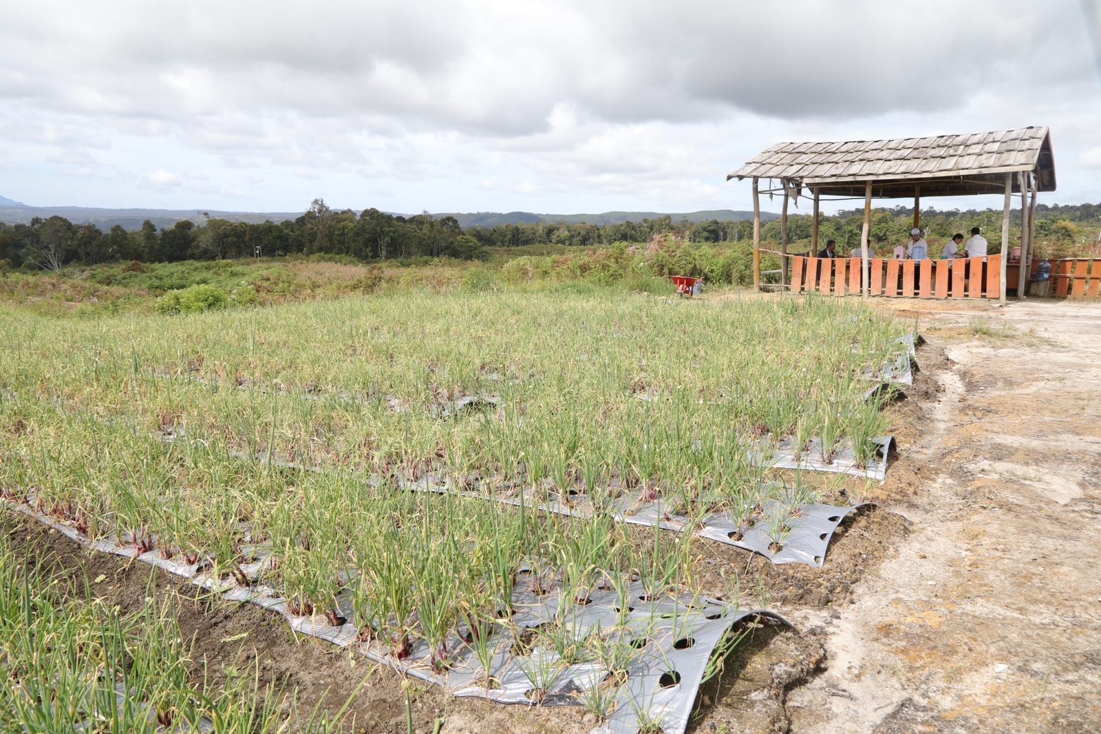 Kemenko Bidang Kemaritiman dan Investasi